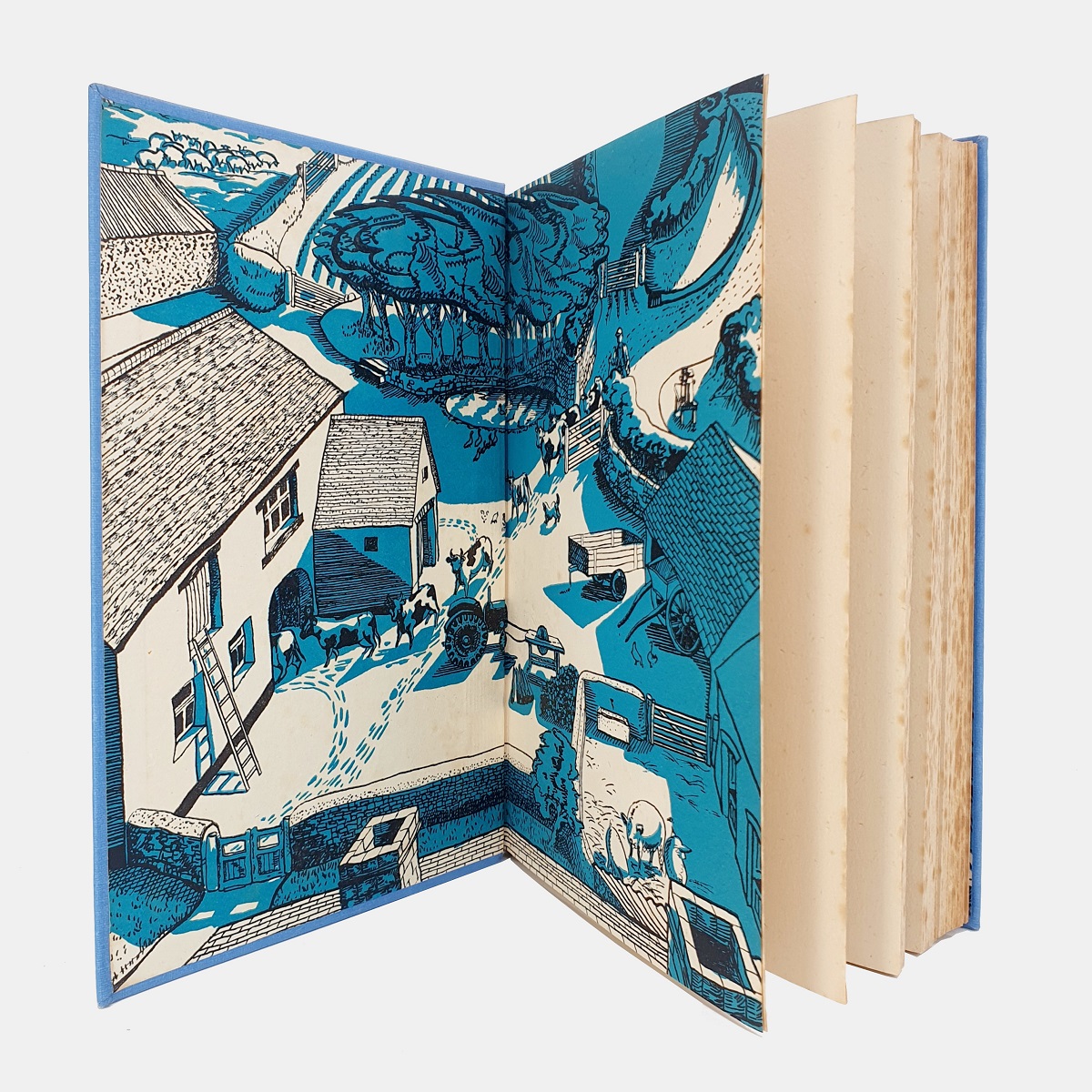 The Blue Fox | Beaux Books