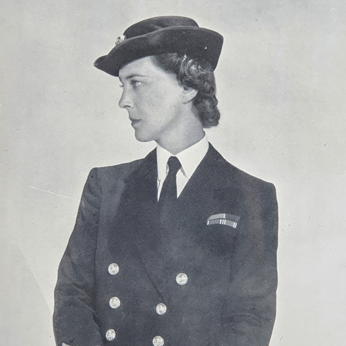 Wrens in Camera | Beaux Books