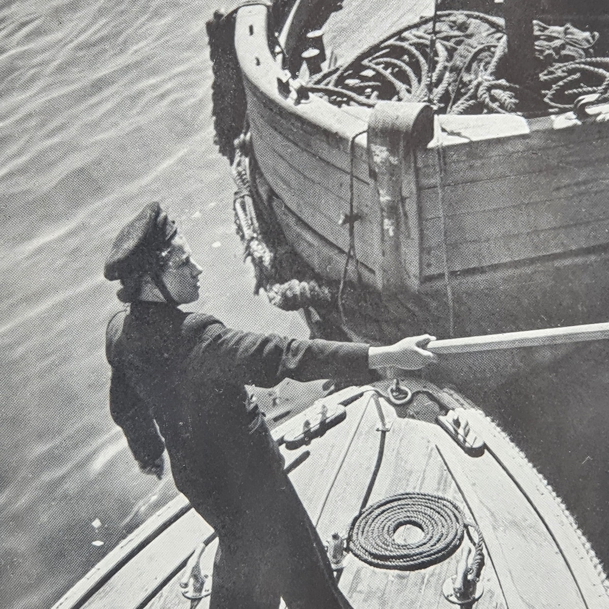 Wrens in Camera | Beaux Books